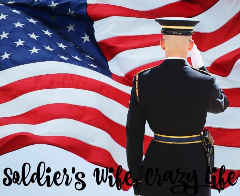 This Veterans Day, I Want to Thank All Veterans...
