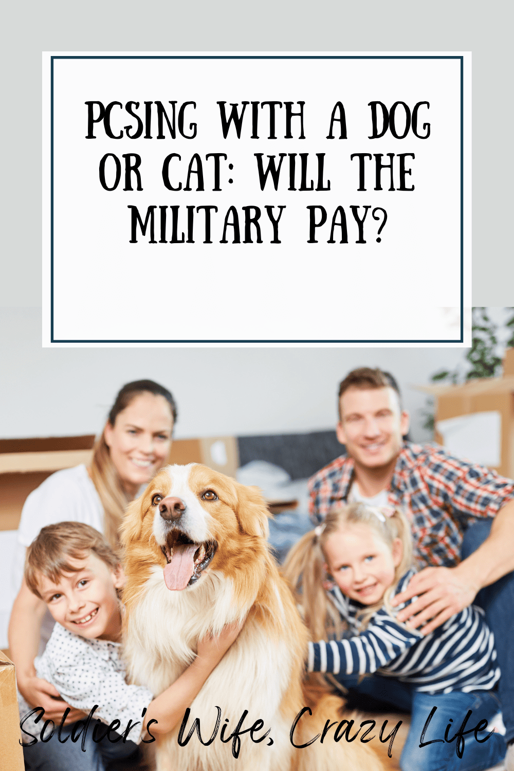 PCSing with a Dog or Cat: Will the Military Pay?